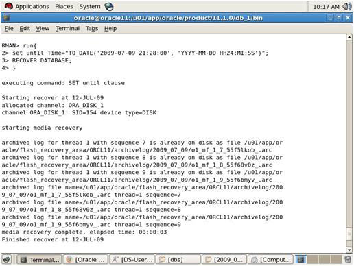 Oracle 11g Database Point In Time Recovery Dbpitr 9561